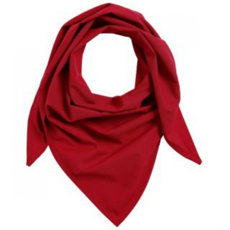Neckwear - Nova Uniforms